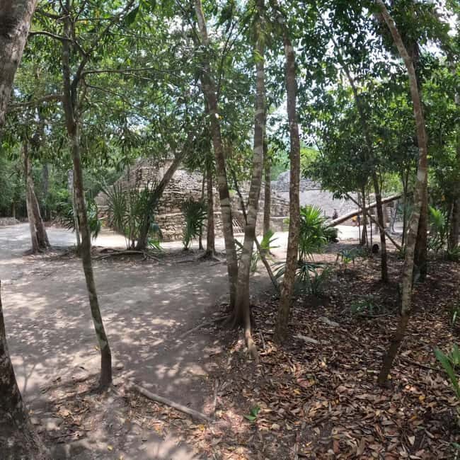 Deluxe Tulum, Coba & 5th Avenue from Cancun - Final Thoughts