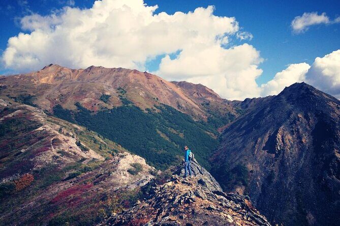 Denali 4 Hour Hiking Adventure with Naturalist Guide - Introduction to the Denali 4-Hour Hiking Adventure