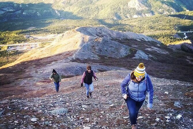 Denali 4 Hour Hiking Adventure with Naturalist Guide - The Authentic Experience: Insights from Reviews