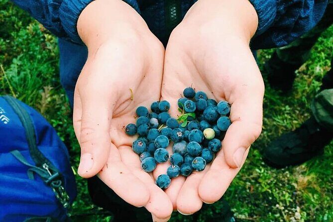 Denali 4 Hour Hiking Adventure with Naturalist Guide - Who Should Consider This Tour?