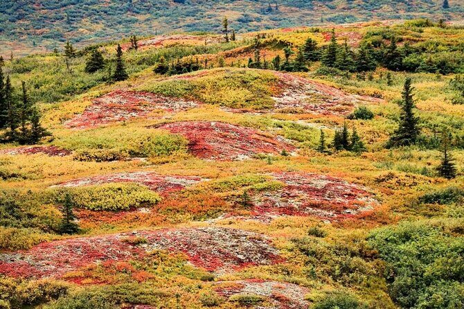 Denali Highway Overnight Excursion - Key Points