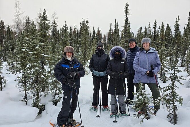 Denali National Park plus Aurora Chase Tour - From Denali to the Night Sky: Aurora Chase Experience