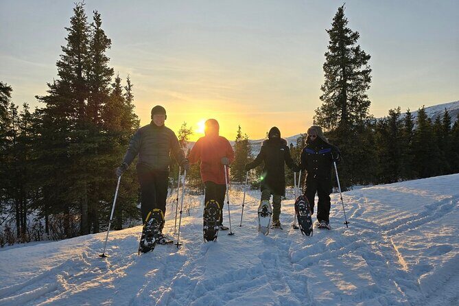 Denali National Park plus Aurora Chase Tour - Practical Considerations