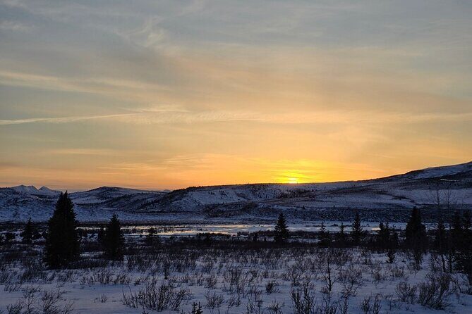 Denali National Park plus Aurora Chase Tour - Final Thoughts