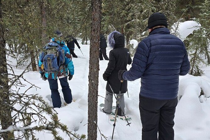 Denali National Park plus Aurora Chase Tour - FAQ