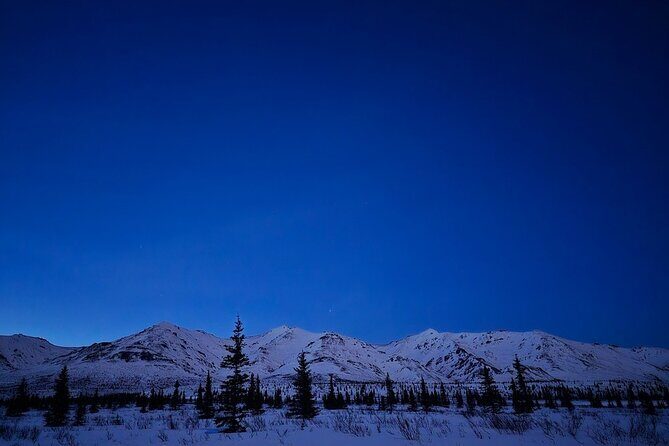 Denali National Park plus Aurora Chase Tour - Final Words
