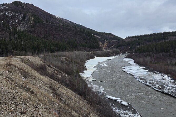 Denali National Park Shuttle - A Closer Look at the Denali National Park Shuttle Experience