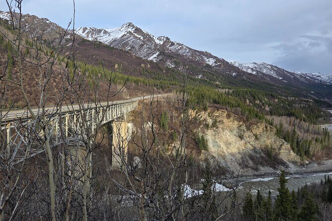 Denali National Park Shuttle - Who Will Love This Experience?