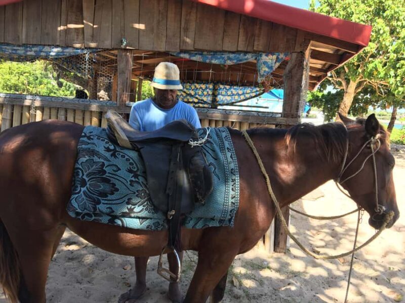 Denarau Island to Natadola Beach Round Trip - Authenticity and Local Touches