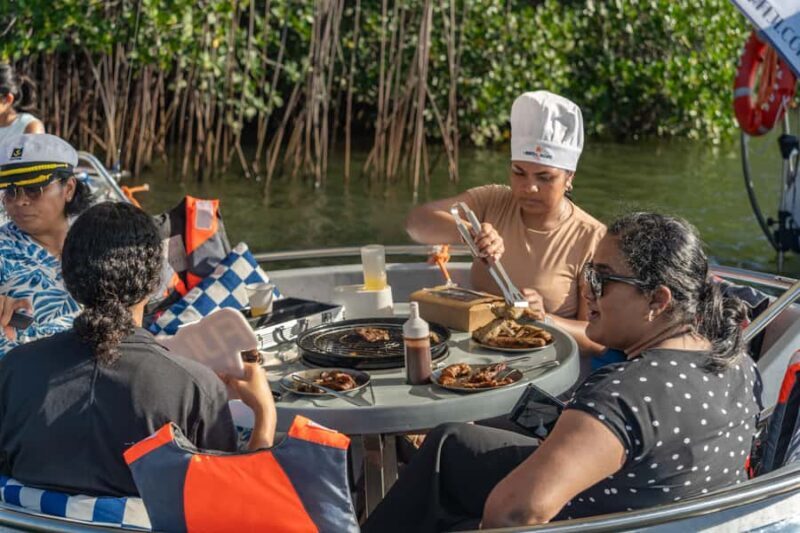 Denarau: Self Drive BBQ eBoat Cruise with Onboard BBQ Fiji - Introduction