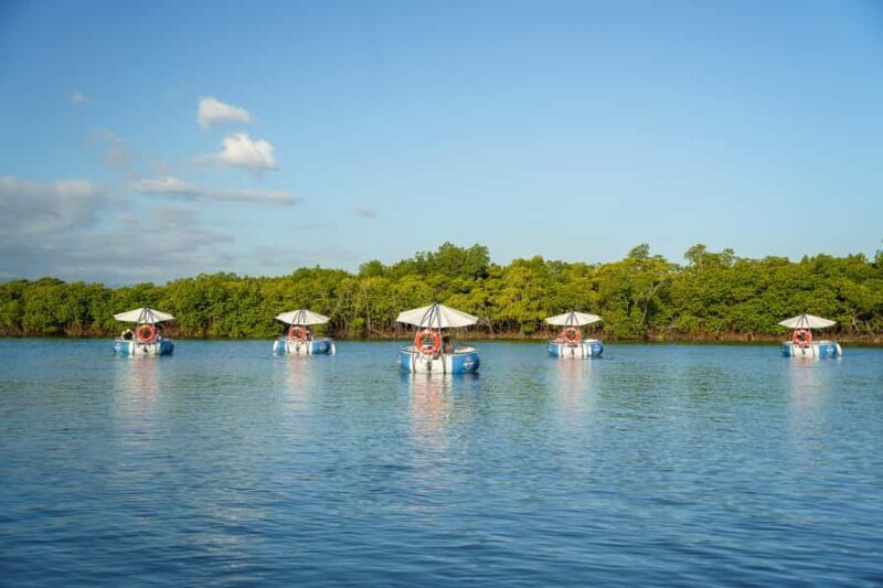 Denarau: Self Drive BBQ eBoat Cruise with Onboard BBQ Fiji - Key Points