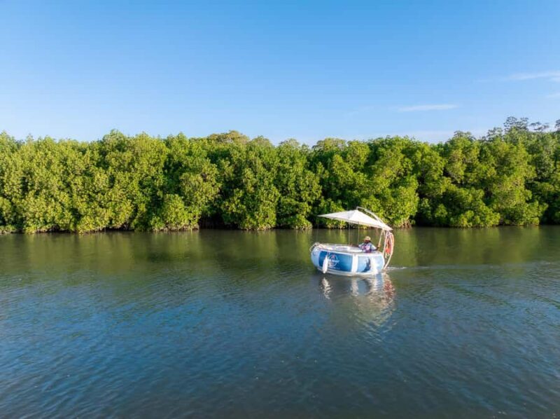 Denarau: Self Drive BBQ eBoat Cruise with Onboard BBQ Fiji - Who Will Love This Tour?