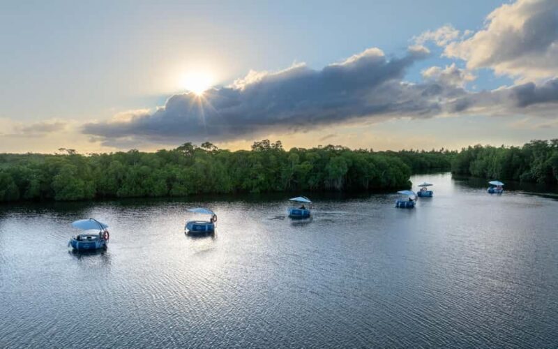 Denarau: Self Drive BBQ eBoat Cruise with Onboard BBQ Fiji - FAQ