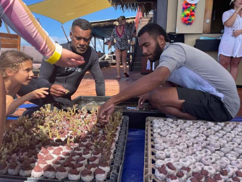 Denarau: Seventh Heaven Floating Bar Day Trip - FAQ