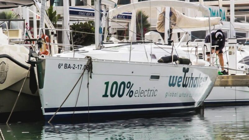 Denia: Sunset Electric Sailboat Cruise with Dolphin Spotting - Introduction