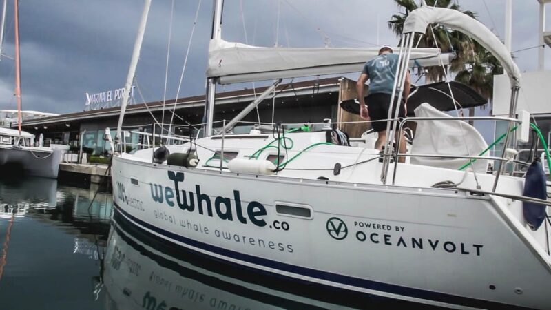 Denia: Sunset Electric Sailboat Cruise with Dolphin Spotting - The Value of This Experience