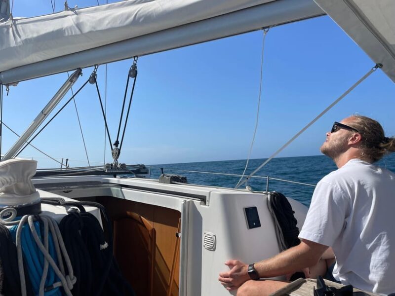 Denia: Whale and Dolphin Watching Morning Experience - Key Points