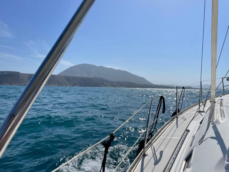 Denia: Whale and Dolphin Watching Morning Experience - An In-Depth Look at the Experience