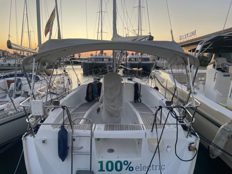 Denia: Whale and Dolphin Watching Morning Experience - Real Experiences from Travelers