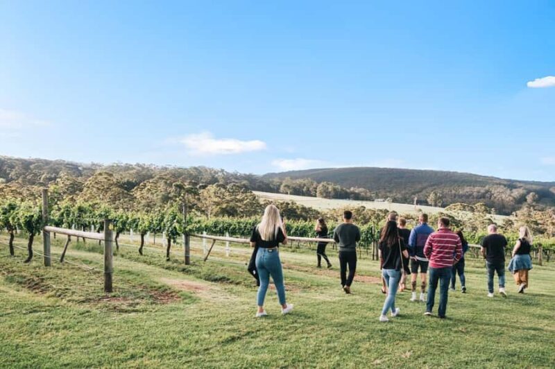 Denmark: A Sense of Place Singlefile Wines Tour & Tasting - Key Points