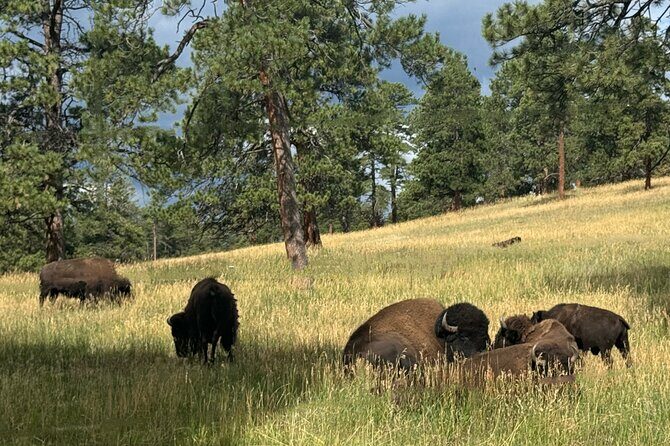 Denver, Golden, Lookout Mountain - Who Will Love This Tour?