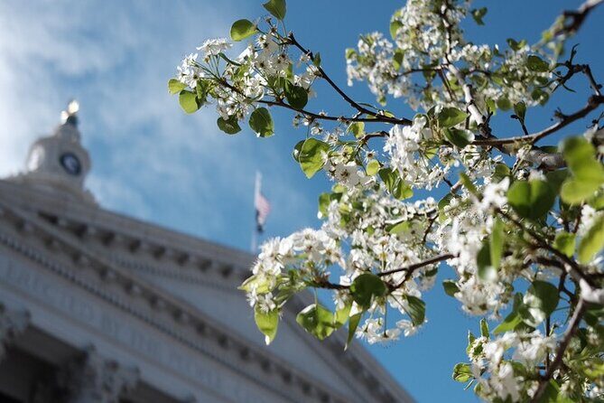 Denver, Golden, Lookout Mountain - FAQs