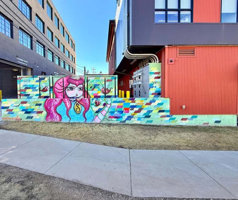 Denver: North RiNo Art District Graffiti and Street Art Tour - Practical Tips