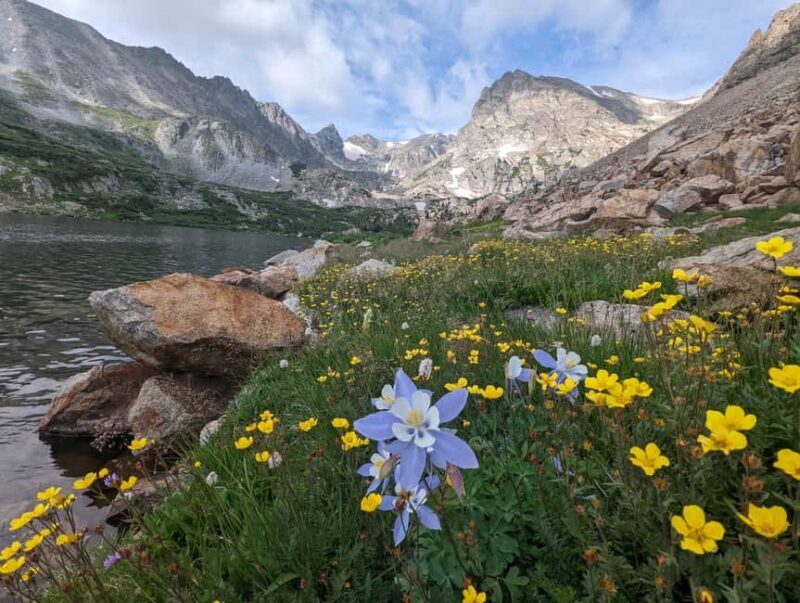 Denver: Private Rocky Mountain National Park Wildlife Tour - Who Should Book This Tour?
