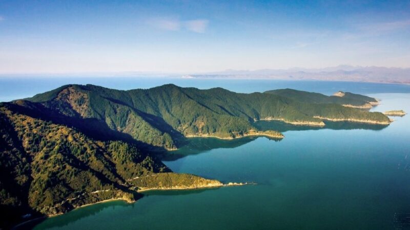 Depart Picton: Marlborough Sounds Afternoon Seafood Cruise - Frequently Asked Questions