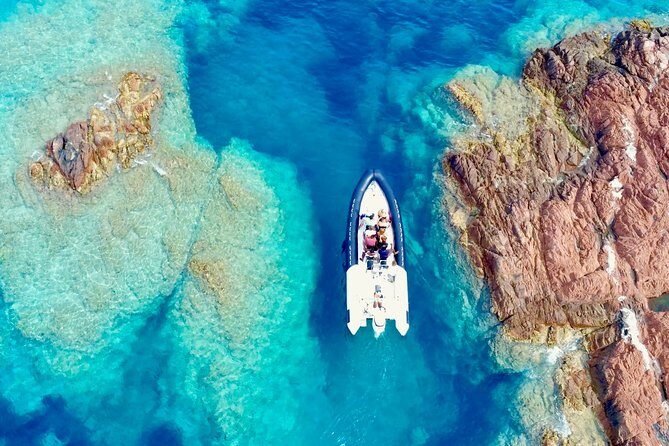 Depart Saint Raphaël: Meet the Dolphins - What to Expect on the Boat