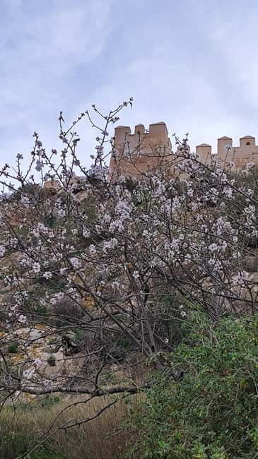 Descubriendo Almería: Un Viaje por la Historia y la Cultura - The Sum Up