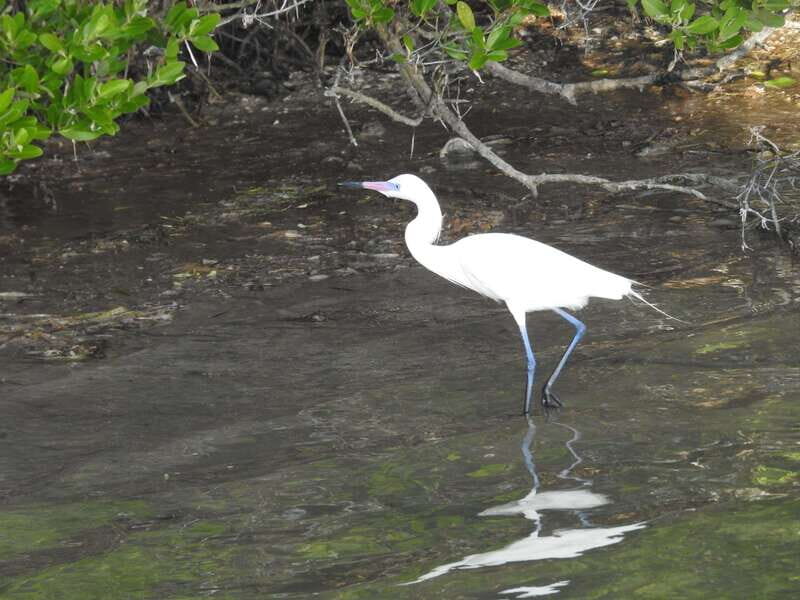 Desde Holbox: SunSea- SUNSET Kayak - What’s Included and What to Bring