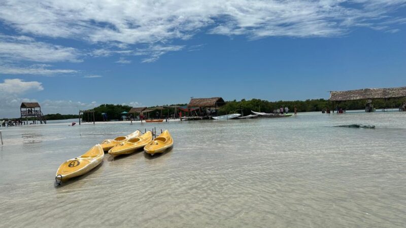 Desde Merida: Isla columpios - Who Would Love This Tour?