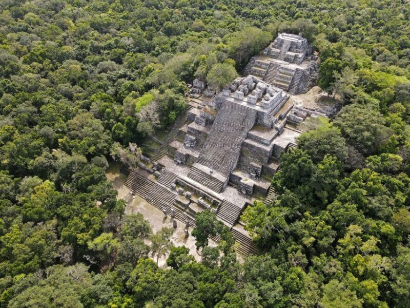 Desde Palenque: Zona Arqueológica Calakmul - Exploring the Journey to Calakmul