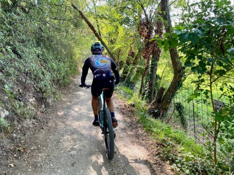 Desenzano: e-Bike Tour with Wine Tasting - The Sum Up