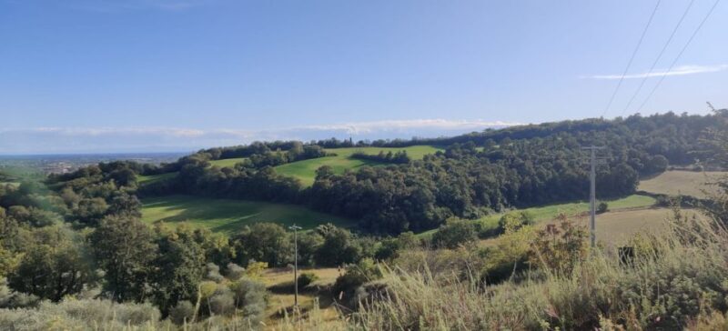 Desenzano: e-Bike Tour with Wine Tasting - FAQ