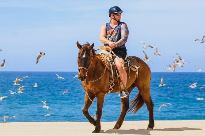 Desert and Beach Horseback Riding Experience in Cabo - The Landscapes You’ll Encounter