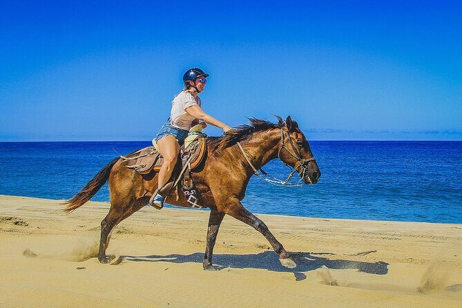 Desert and Beach Horseback Riding Experience in Cabo - Who Will Get the Most Out of This Tour?
