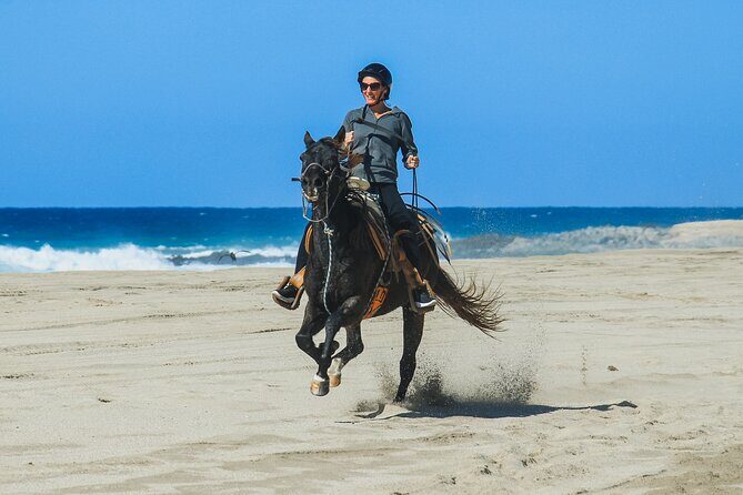 Desert and Beach Horseback Riding Experience in Cabo - FAQ