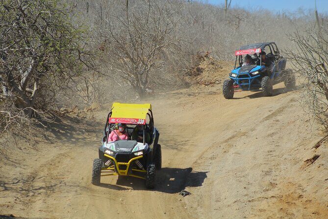 Desert and Beach UTV Adventure with Tequila Tasting - Pricing & Value