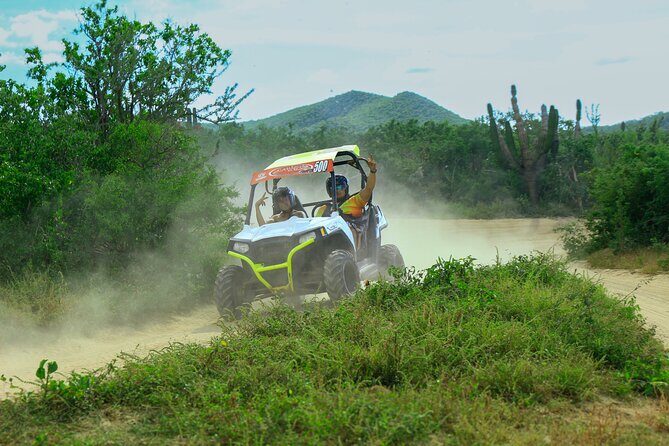 Desert and Beach UTV Adventure with Tequila Tasting - Who Would Love This Tour?