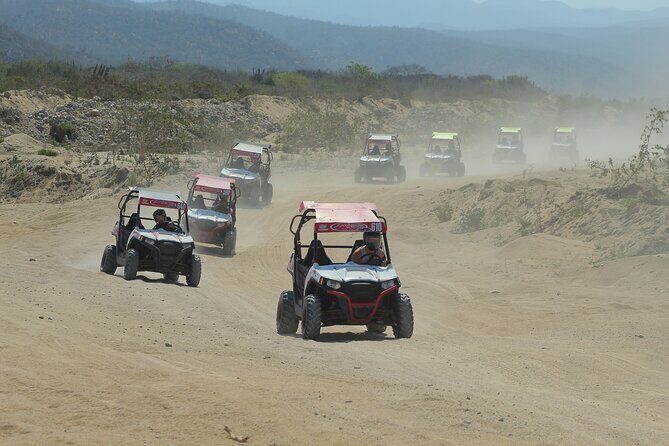 Desert and Beach UTV Adventure with Tequila Tasting - The Sum Up