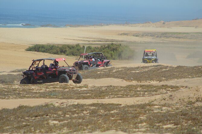 Desert and Beach UTV Adventure with Tequila Tasting - FAQs