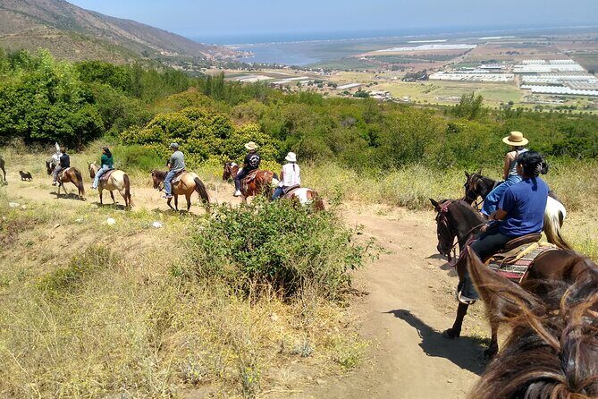 Desert Peaks on Horseback, Exploring Mountain Trails of Ensenada - An Authentic Horseback Adventure in Ensenada