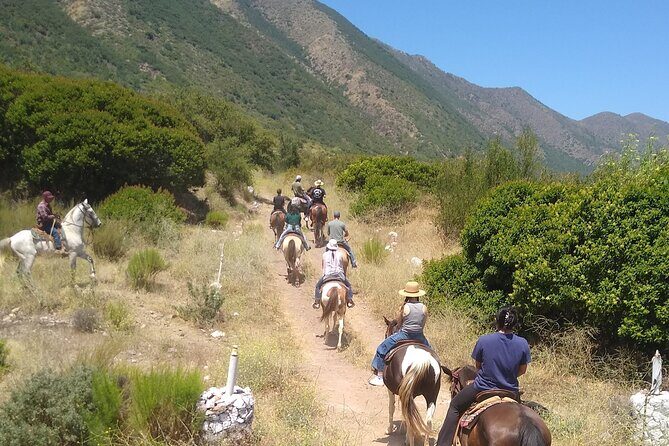 Desert Peaks on Horseback, Exploring Mountain Trails of Ensenada - What Reviewers Love Most