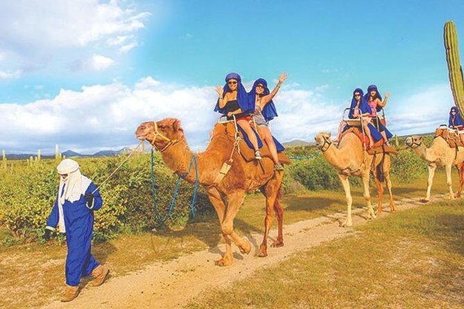 Desert & sea, Camel Safari tour in Los Cabos with lunch - FAQ