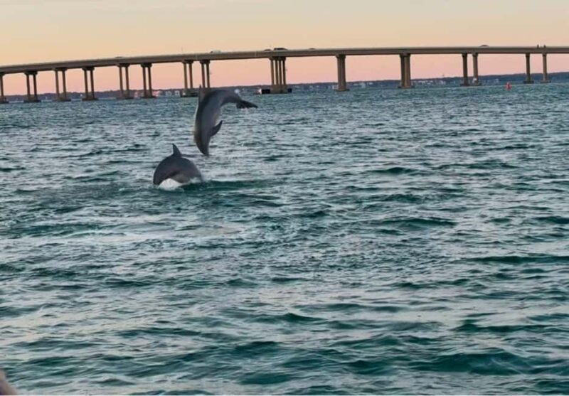 Destin: 90-Minute Boat Ride With Cruise Destin Bay - Why This Tour Offers Good Value