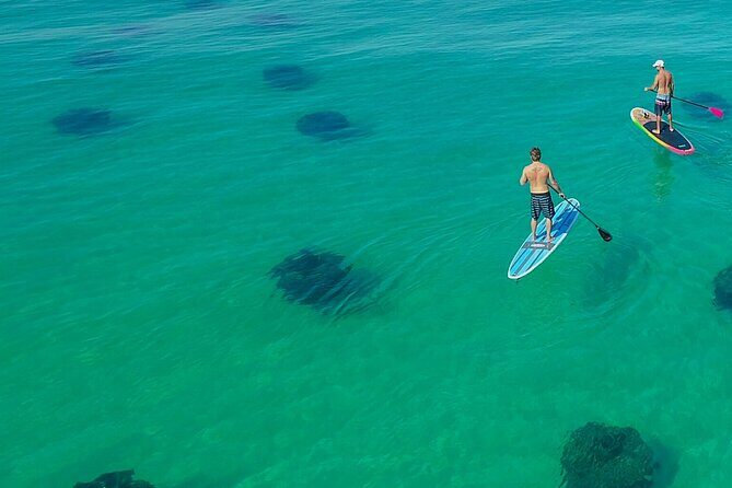 Destin Dolphin and Snorkeling Adventure Speedboat Tour - Key Points