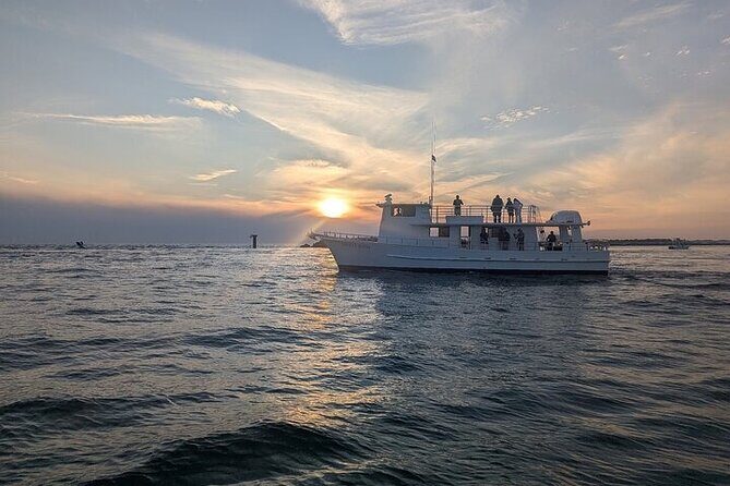 Destin Family Friendly Dolphin Watching Adventure - Who Will Love This Tour?