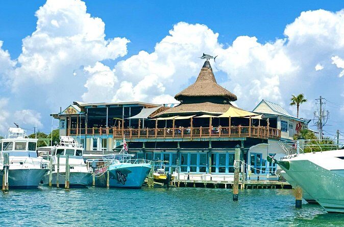 Destin Harbor Boat Ride and Dolphin Watching on the Hopper - Who Should Consider This Tour?